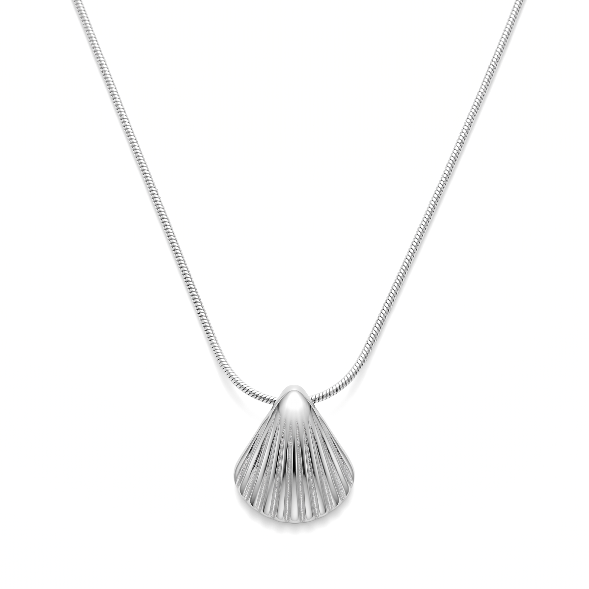 Ocean Shell Necklace - Seashell Pendant Chain